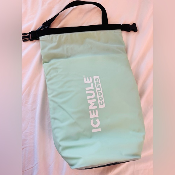 icemule | Other | Icemule Classic Large 2 Liter Backpack Cooler Seafoam ...